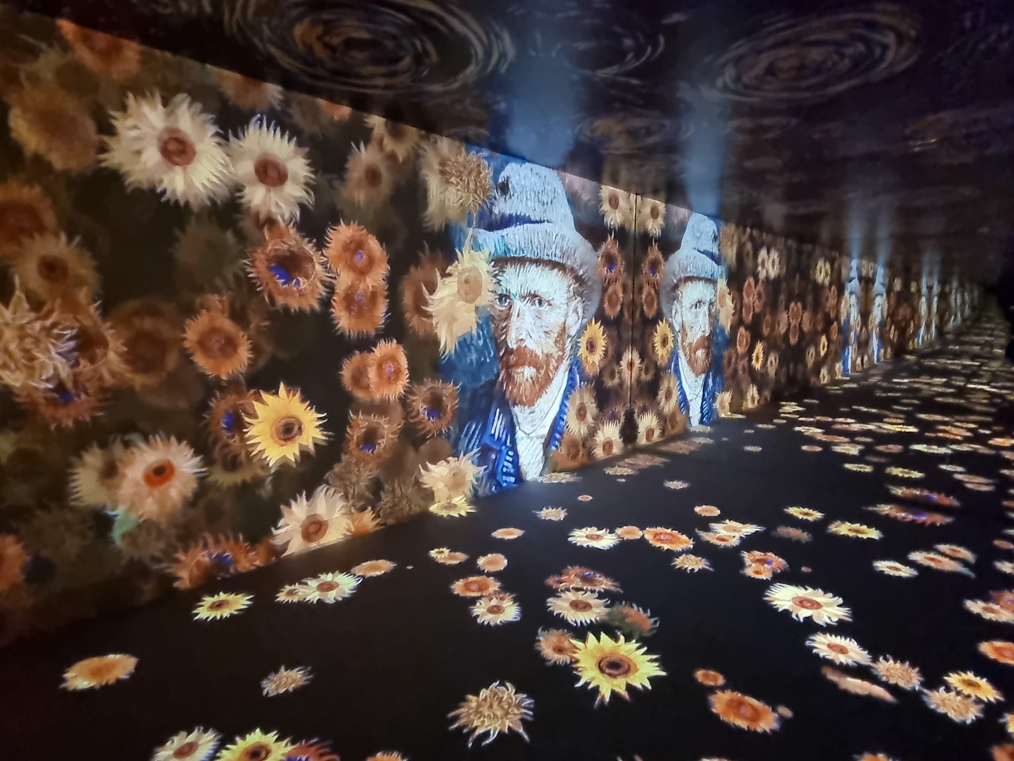 Van Gogh's Masterpieces Shine in Trieste: A Journey Through the Artist ...