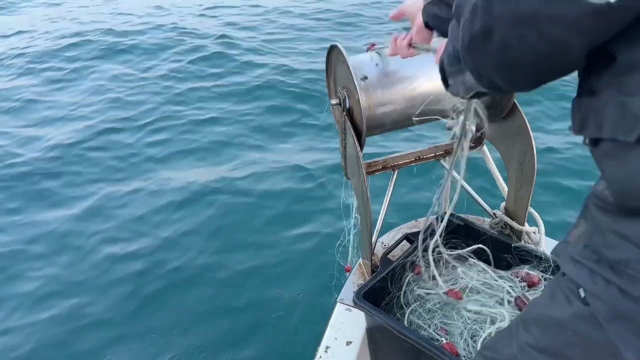 Massive Illegal Fishing Net Discovered in Gulf of Trieste - InTrieste