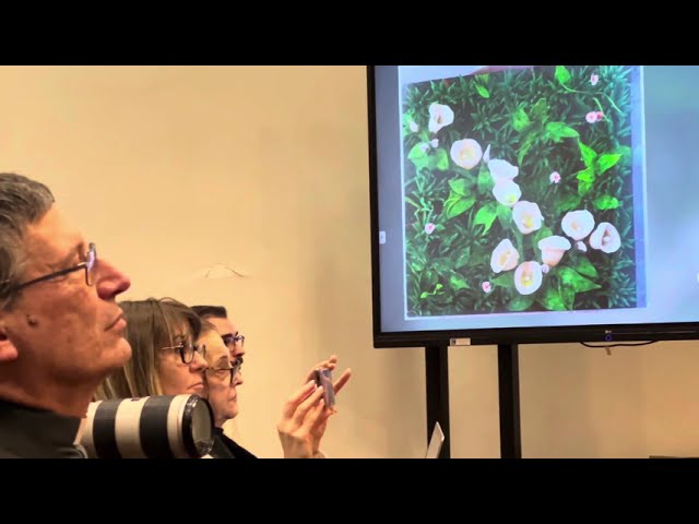 Picasso and Miró Among Treasures in Cattaruzza’s Major Art Donation to ...