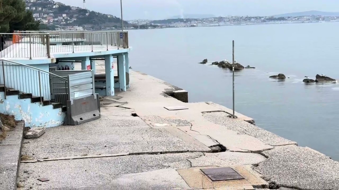 Trieste’s ‘Topolini’ Undergo Renovation After Storm Damage - InTrieste